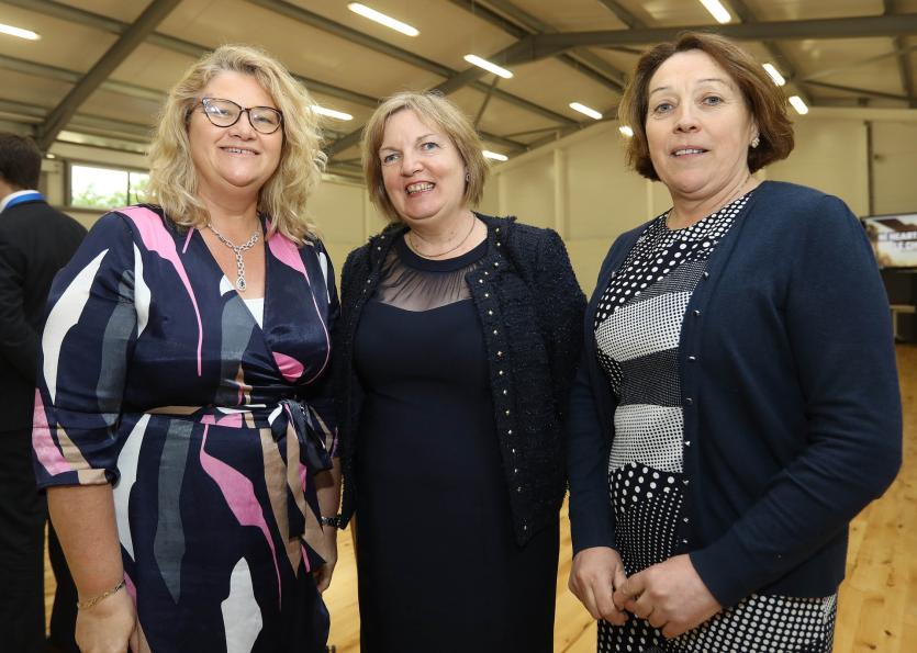 PHOTO GALLERY: Official opening of Monread Community Centre in Naas ...