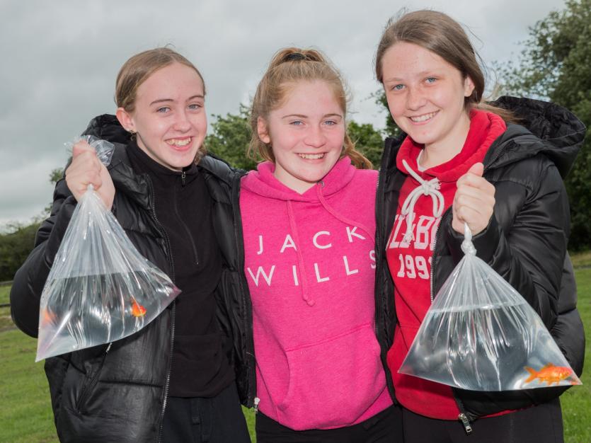 PHOTO GALLERY: Clongorey Field Day June Fest fun - Photo 1 of 10 ...