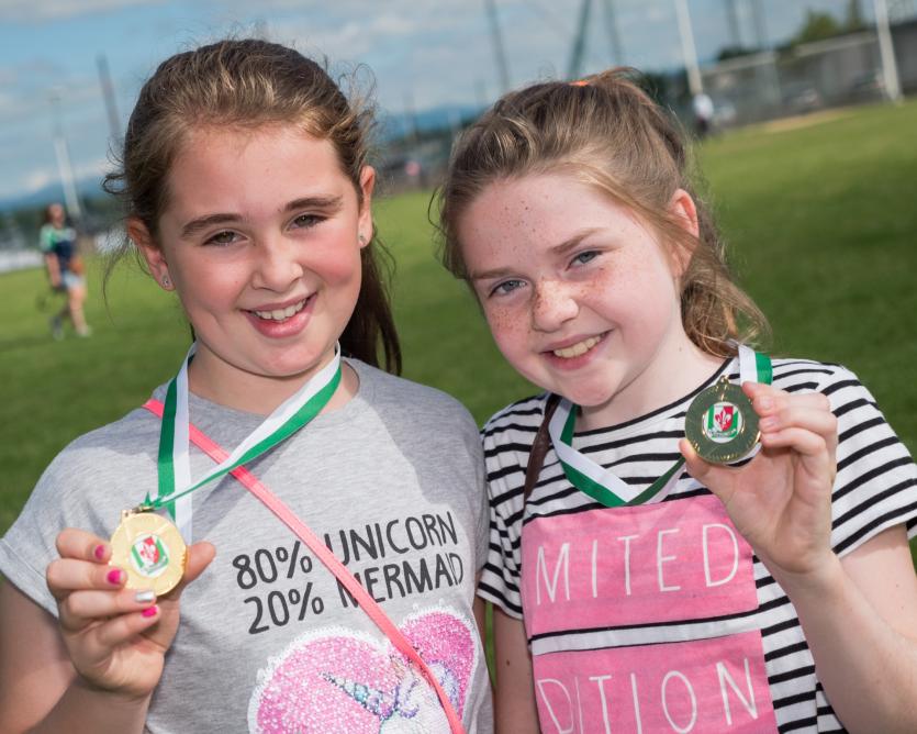 PHOTO GALLERY: Sarsfields Family Fun Day in Newbridge - Photo 1 of 17 ...