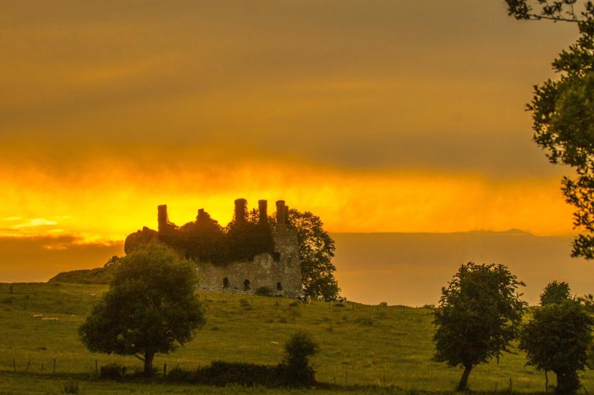 READER PICTURES: Kildare's Carbury Castle is steeped in history - Photo ...
