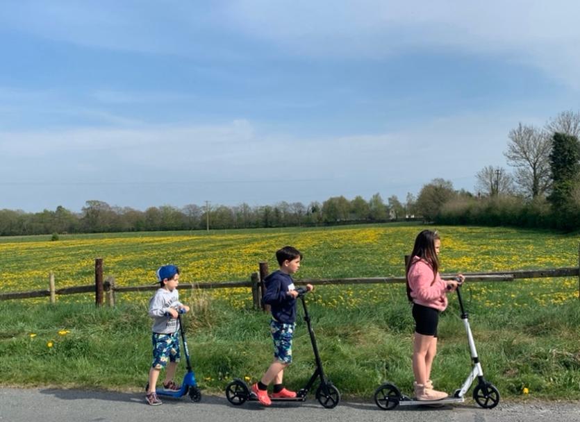 PICTURES: More of your brilliant photos of Kildare in our Lockdown ...