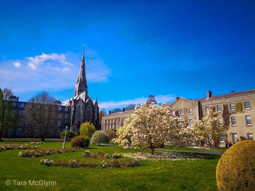 PICTURES: Another batch of your great Kildare shots in our Lockdown ...