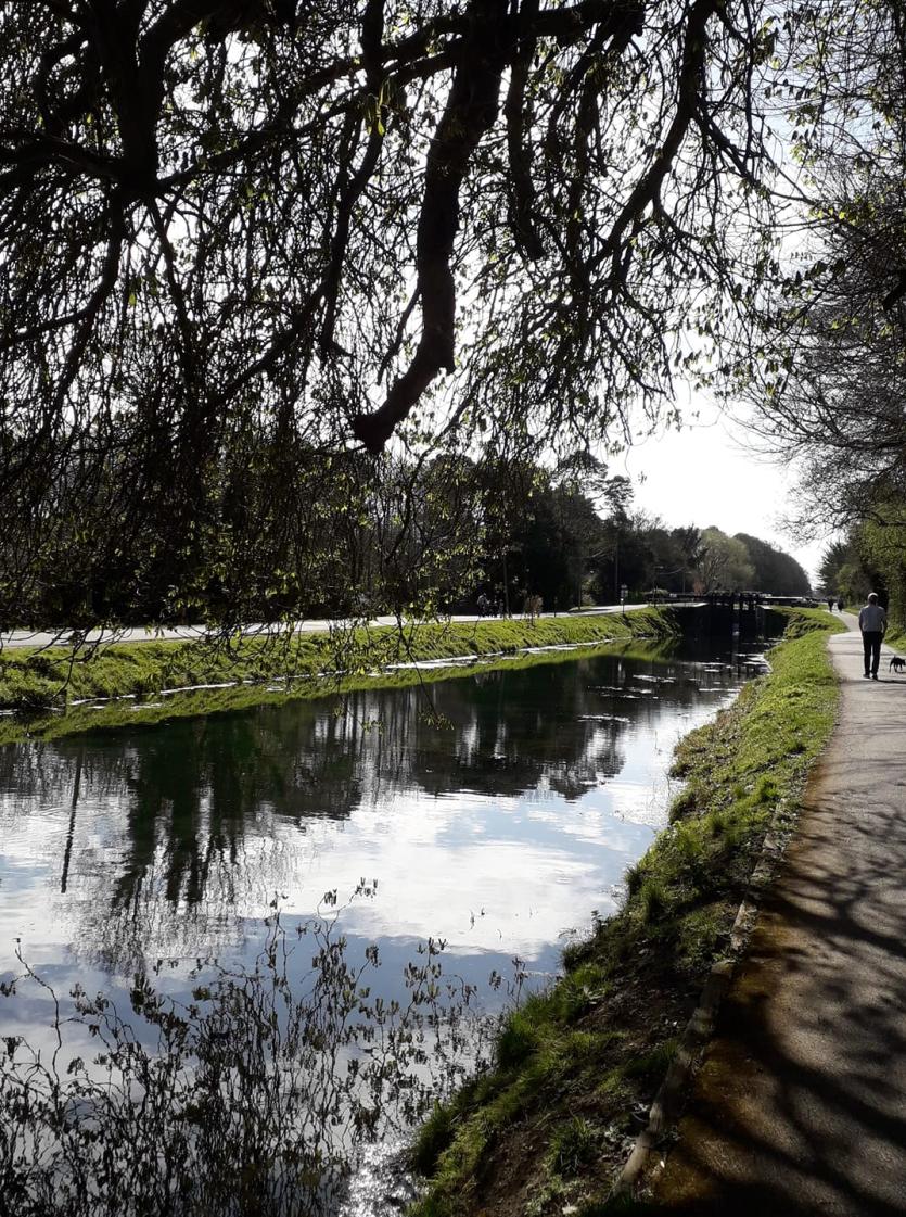 PICTURES: Kildare summer 2020 photo challenge - Photo 1 of 23 - Kildare ...