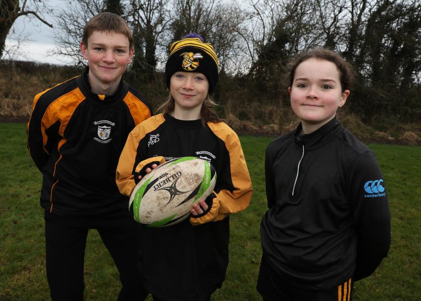 PICTURES: Girls and boys give rugby a 'try' at Newbridge RFC - Photo 1 ...