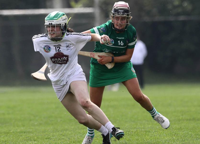 Kildare crowned Leinster camogie champions - Leinster Leader