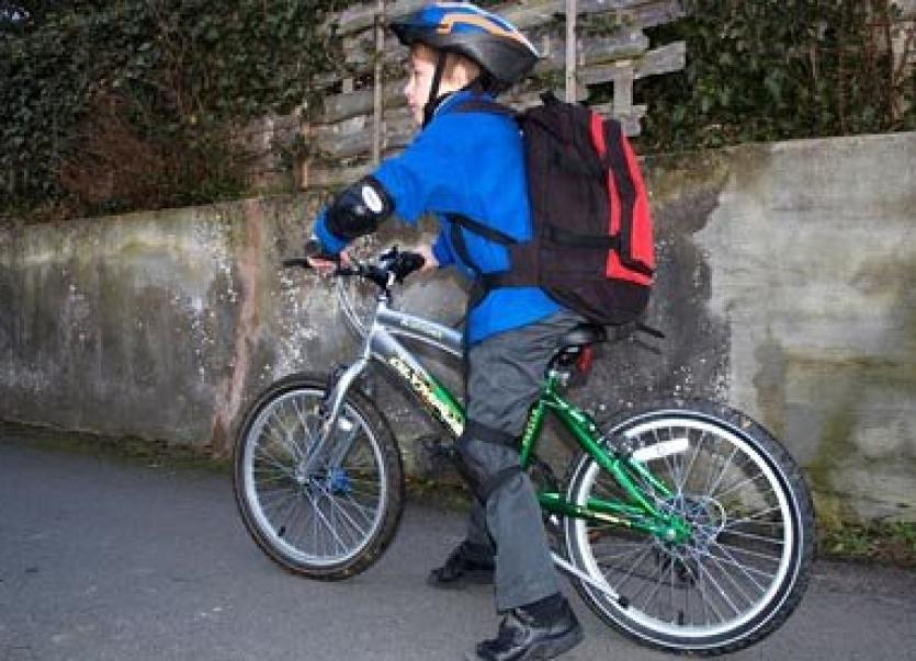 Five Kildare schools chosen for initiative to support walking and ...