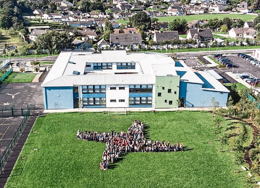 Kildare town schools make human St Brigid’s Cross for promotion video ...