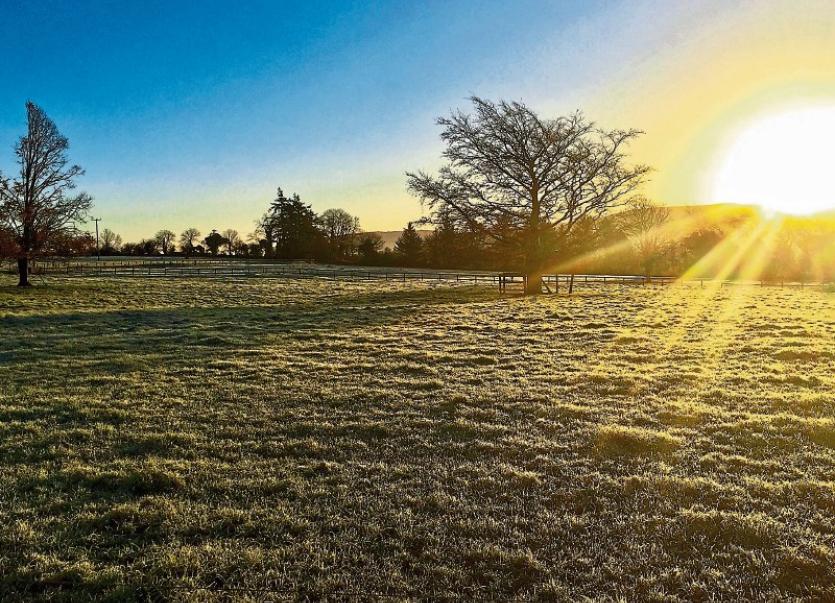 Sunny and warm weather for Co. Kildare today - Leinster Leader