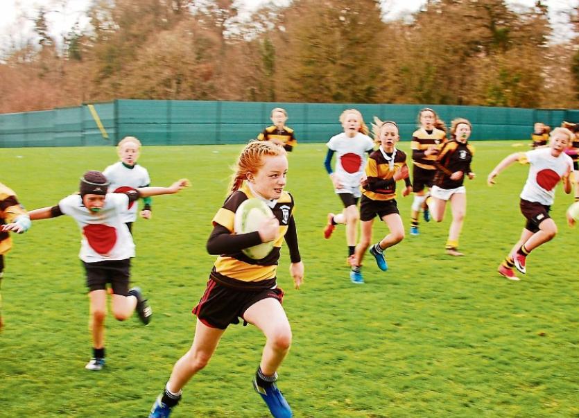 Kildare girls invited to try out rugby this summer with Newbridge Rugby ...
