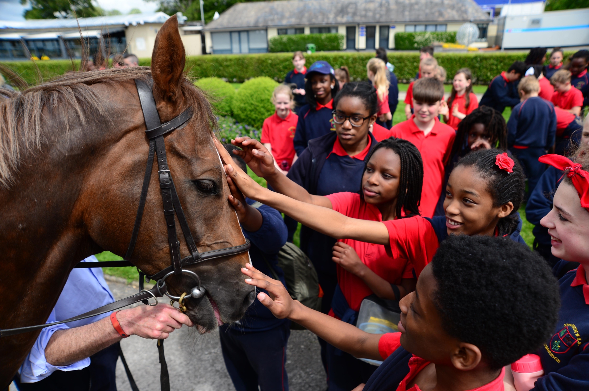 Record attendance at 'Kildare Go Racing Kids' event at the Curragh ...