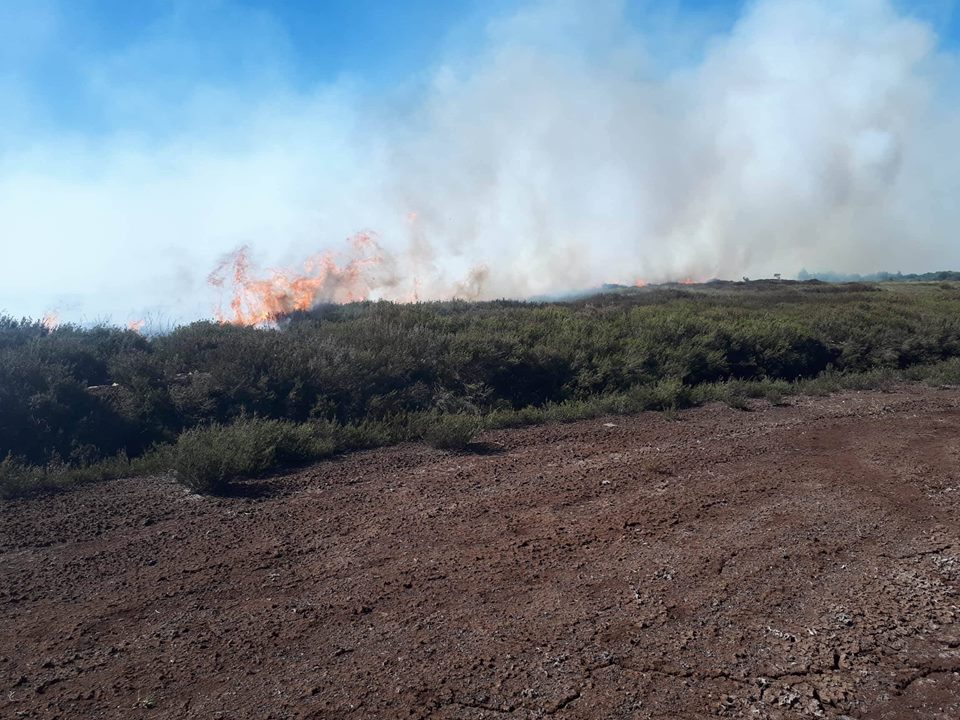 Kildare Fire Service dealing with large bog fire near Milltown ...