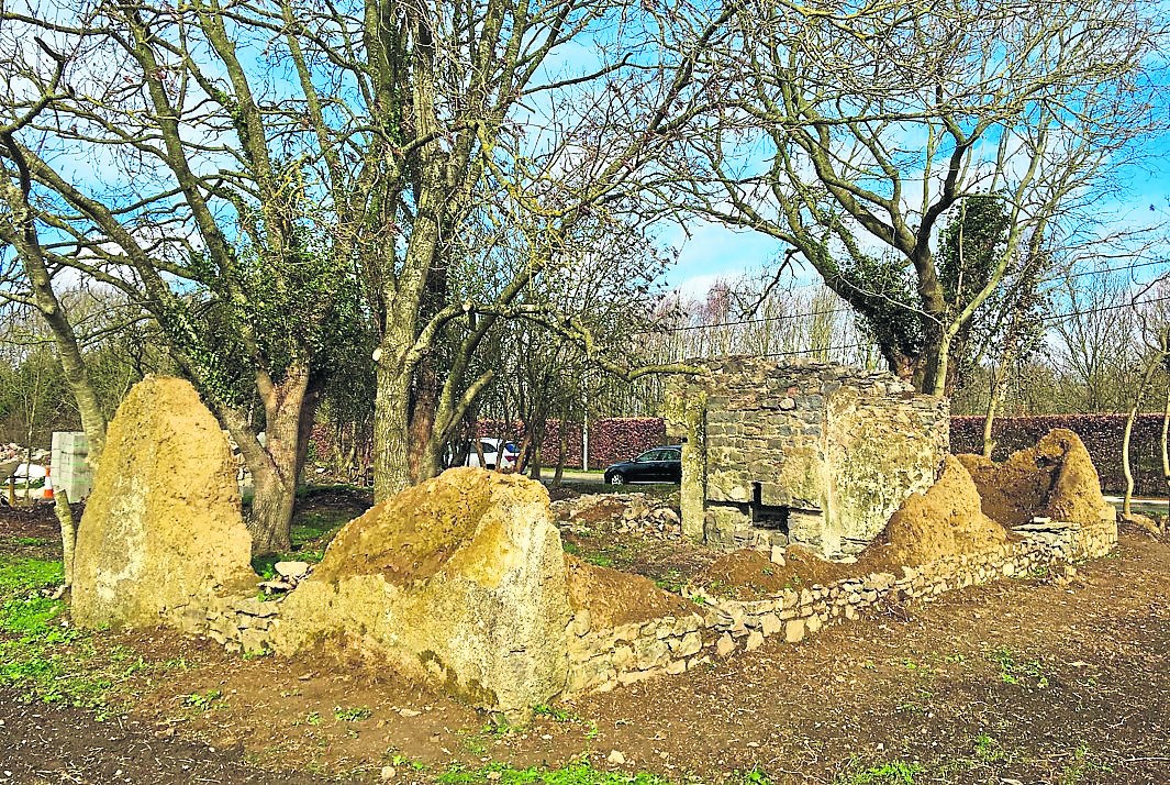 Celbridge Camera Club's new book is record of a year in north Kildare ...