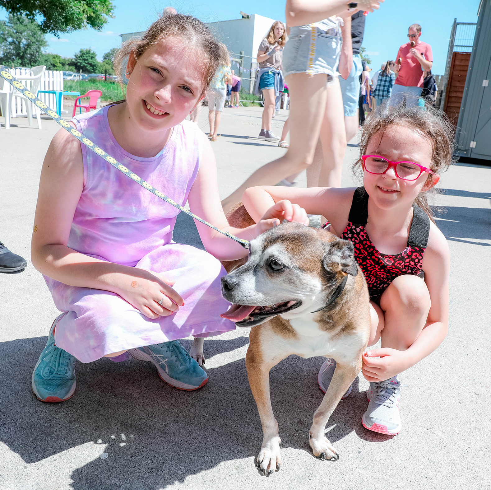 PHOTO GALLERY: Adorable snaps from the Kildare Animal Foundation open ...