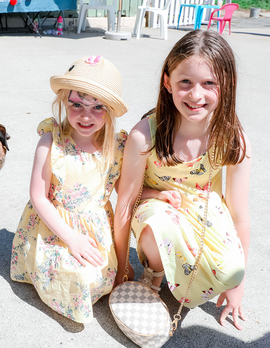 PHOTO GALLERY: Adorable snaps from the Kildare Animal Foundation open day - Page 5 of 18 ...