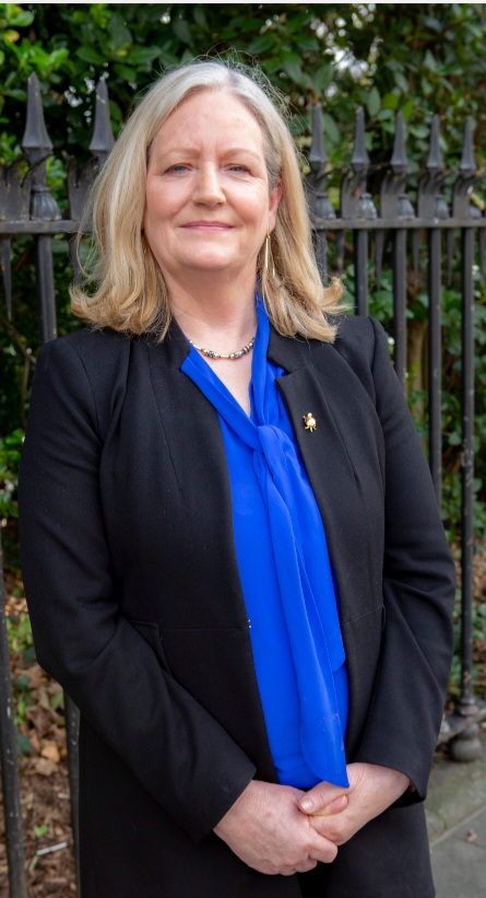 Kildare representative questions government's new swimming strategy ...